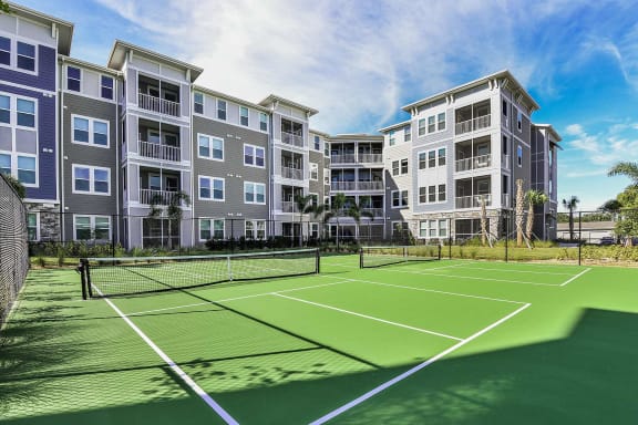 Dunedin Commons Apartments | Apartment and Community Amenities