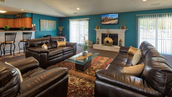 Bridgeport Apartments | Apartment and Community Amenities