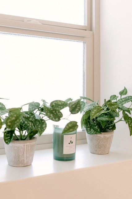 Photos and Video of Kanekapolei Collection in Honolulu, HI