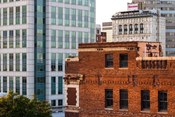 Downtown Columbia, SC Apartments | The Lady | Amenities