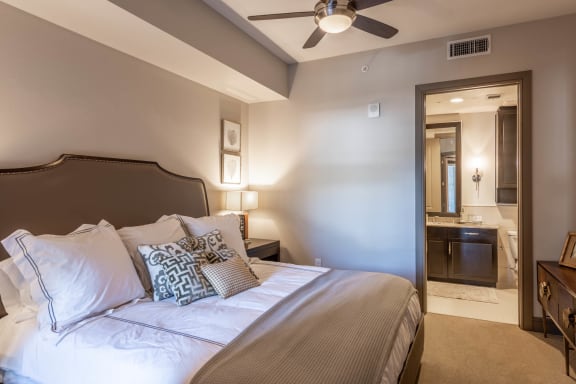 Photos and Video of The Carter in Houston, TX