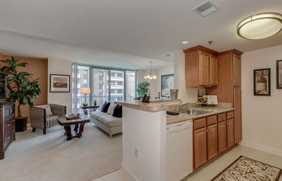 The Metropolitan | Apartment and Community Amenities