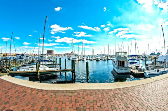 Luxury Apartments in Baltimore | The Crescent at Fells Point