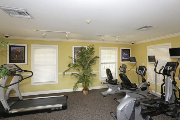 Photos and Video of Oasis at Naples in Naples, FL