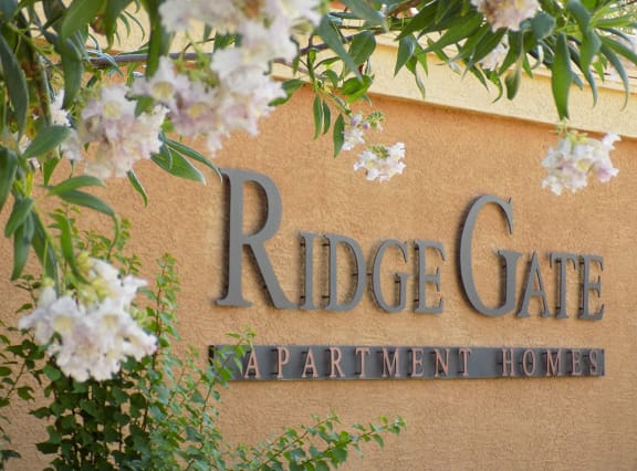 RidgeGate Apartments | Phoenix, AZ