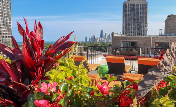 Lakeview East, Chicago Apartments | Reside on Surf | Home