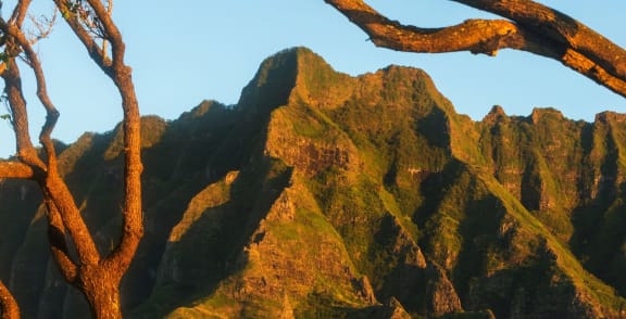 Palehua Terrace 1 | Apartments in Kapolei, HI