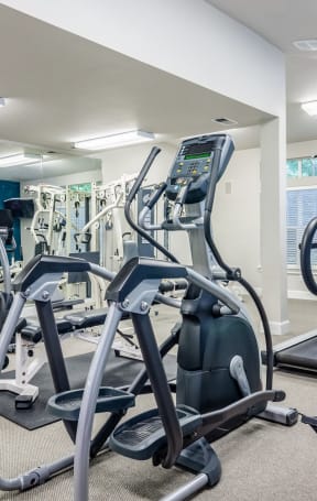 Abbey Rowe | Apartments in Olympia, WA