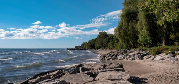 Jack Darling Memorial Park: A Complete Guide to Mississauga's Vibrant ...