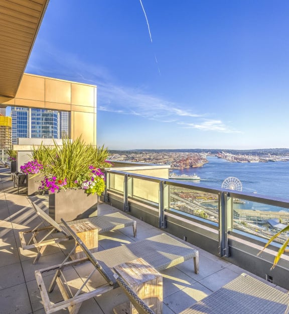 Viktoria | Apartments in Seattle, WA
