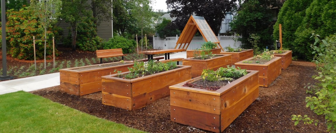 Conifer Place | Apartments in Corvallis, OR