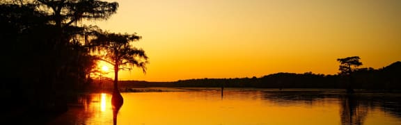 Floor Plans of Integra 360 in Winter Springs, FL