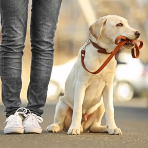 The Range at Reunion | Apartments in Commerce City, CO