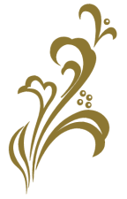 Bandera Crossing | Apartments in San Antonio, TX