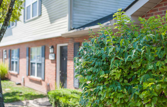 Northern View | Apartments in Highland Heights, KY