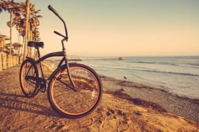 Edison | Apartments in Long Beach, CA
