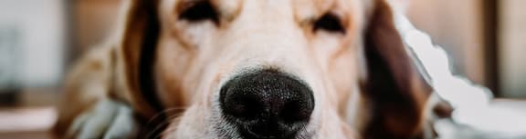 Huntley Ridge | Apartments in Kettering, OH