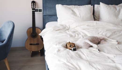 Blue Ribbon Lofts | Apartments in Milwaukee, WI