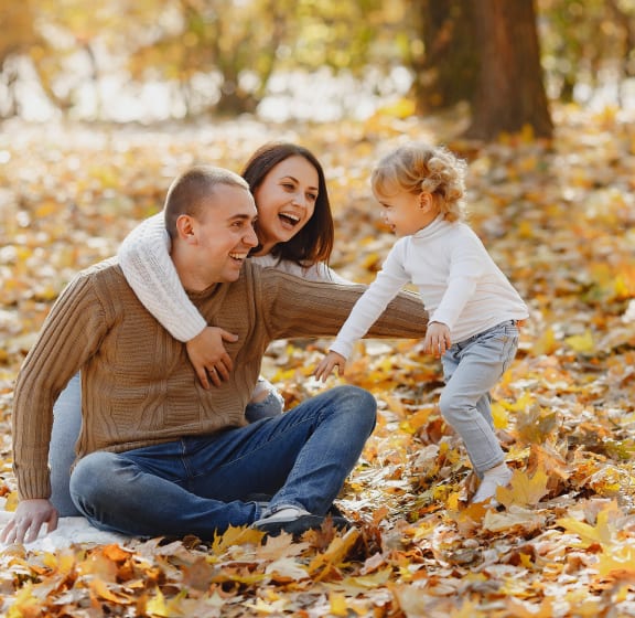 Apartments in Land O’Lakes, Florida | Avidity Living