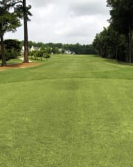 Blackwolf Run at Hedingham | Raleigh Townhomes for Rent