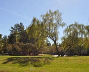 Springwood Park | Apartments in Durham, NC