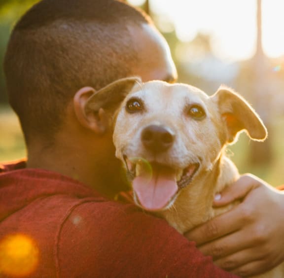 Millspring Commons | Apartments in Richmond, VA