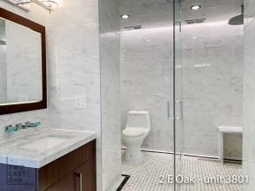 Photos and Video of Two East Oak in Chicago, IL