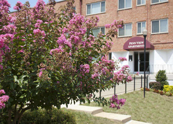 Penn View | Apartments in Washington, DC