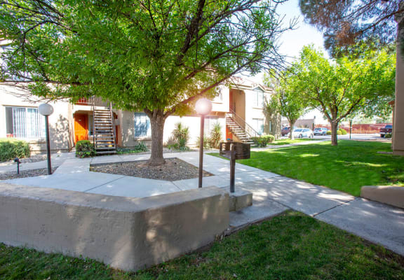 Cinnamon Tree | Apartments in Albuquerque, NM