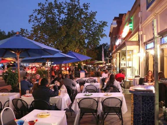 Woodley Park Apartments for Rent | Calvert House