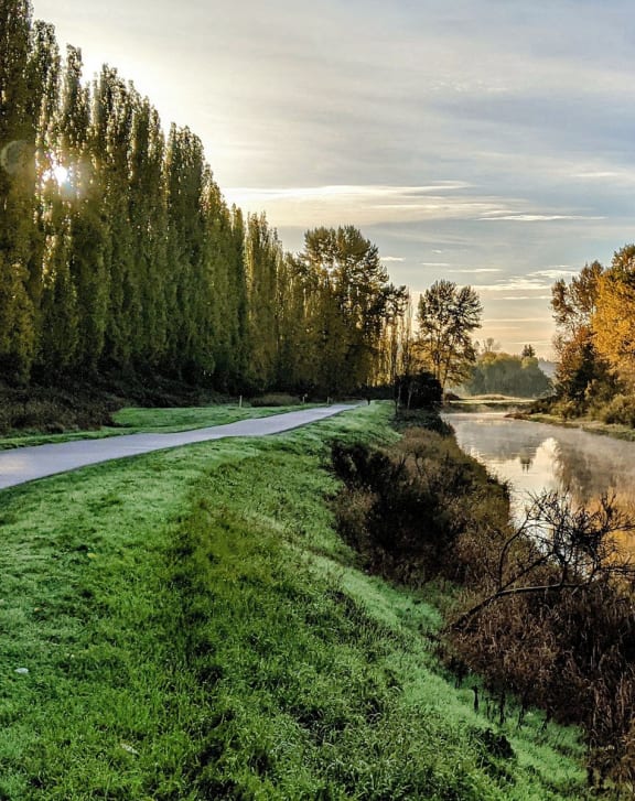 Watershed Renton | Apartments in Renton, WA