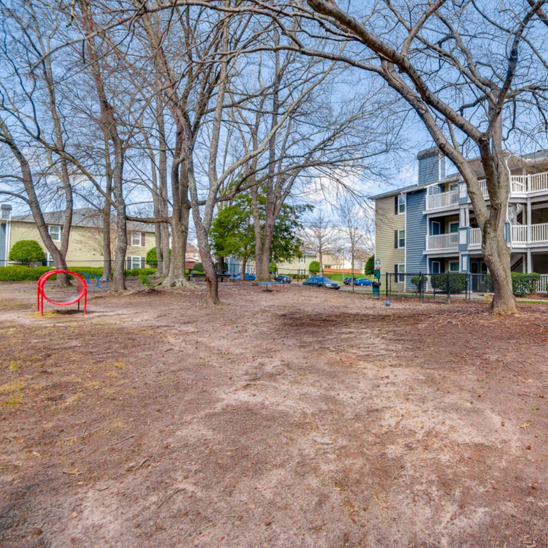 Pet-Friendly Apartments Greenville, SC | Palmetto Place
