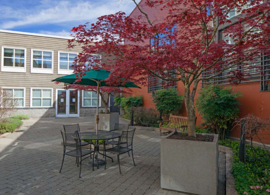 Photos and Video of Belmont Dairy Apartments and Lofts in Portland, OR