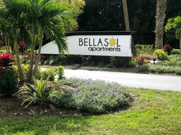 Photos and Video of BellaSol Apartments in Sarasota, FL