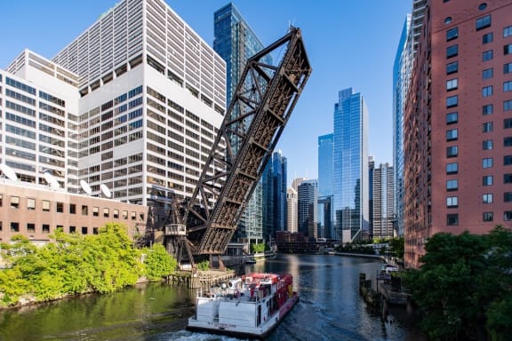 Discover the Best of Chicago's Fulton Market District