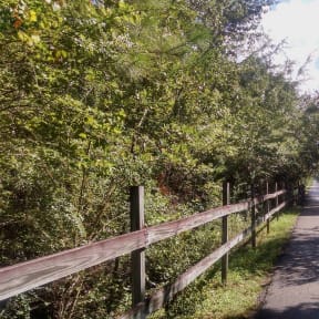 Playa Blanca | Apartments in Milton, FL