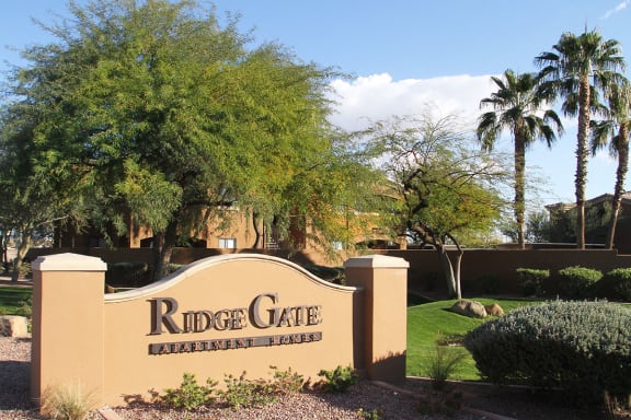 RidgeGate Apartments | Photo Gallery