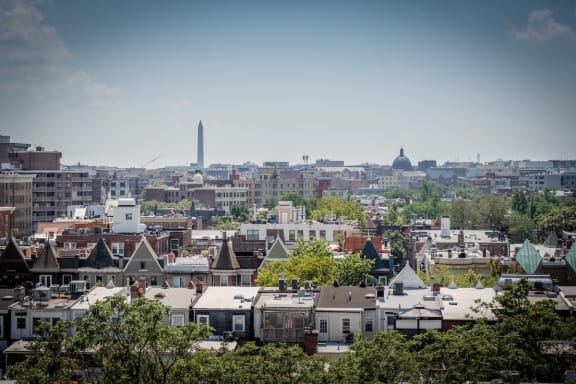 Adams Morgan Apartments | Reed Row Apartments