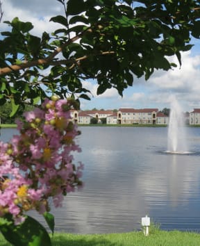 Affordable Apartments in Jacksonville, FL | Mission Pointe