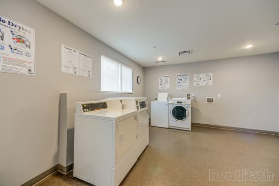 Photos and Video of Shepard Greene in Zebulon, NC