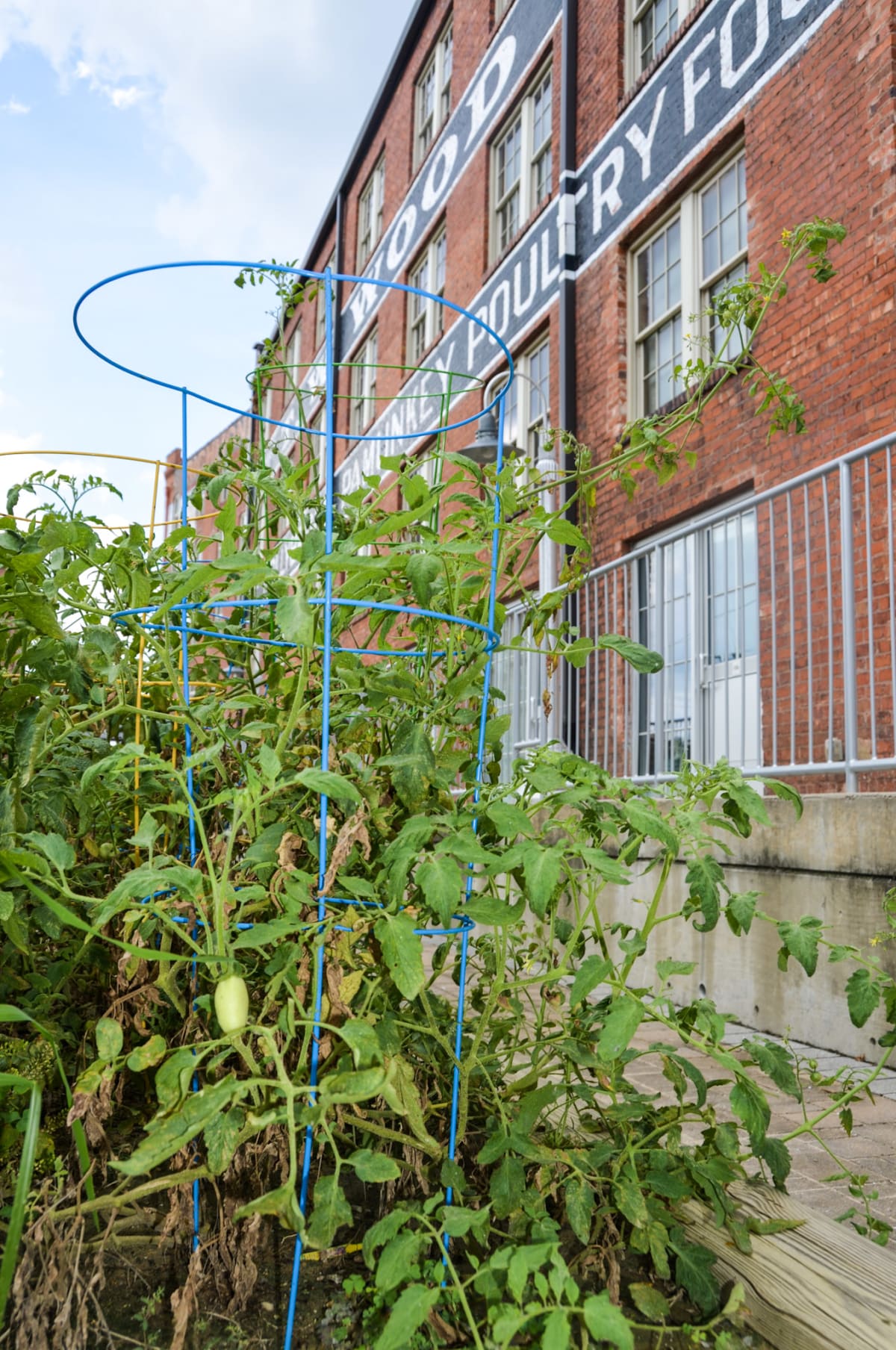 Photos and Video of Atrium Lofts at Cold Storage Apartments in Richmond, VA