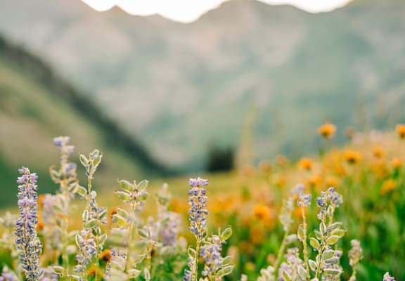 55+ Apartments in Utah | The Beckstead