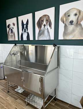 Apartments in Mason, OH | Pimlico Pointe