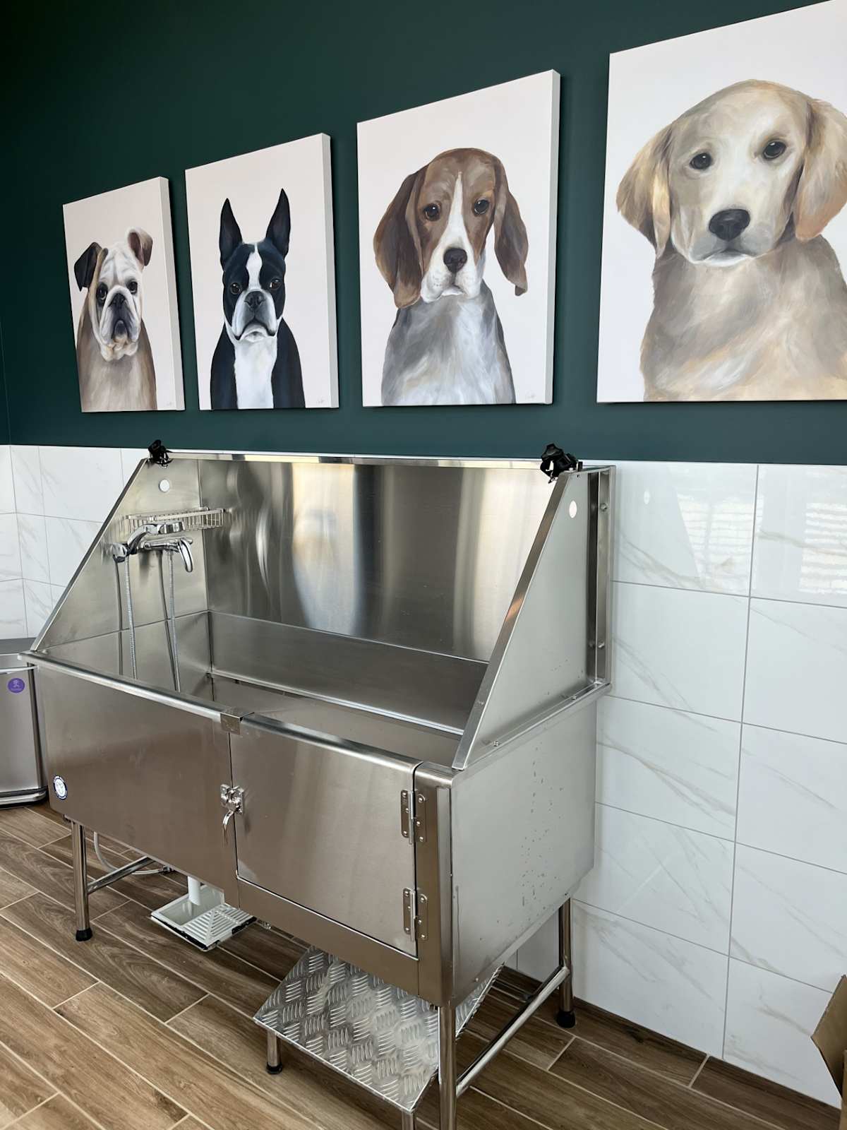 Pimlico Pointe | Pet Policy