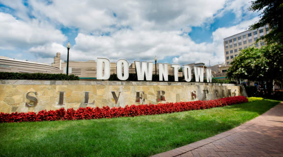 Downtown Silver Spring Apartments | Cole Spring Plaza
