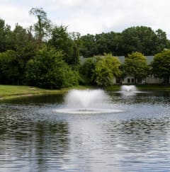 Woodland Meadows Apartments | Apartments in Clinton Township, MI