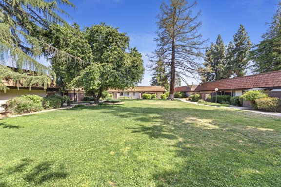 Monte Vista Apartments | Apartments in Clovis, CA