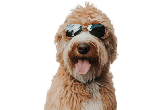 Rowe on 57th Street | Apartments in Sioux Falls, SD