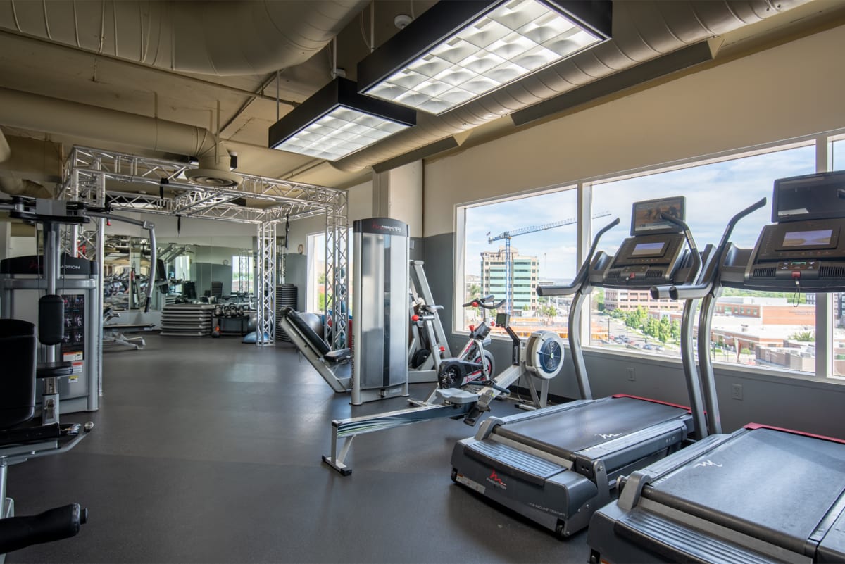 The Lucy Apartments | The Grove Fitness Club