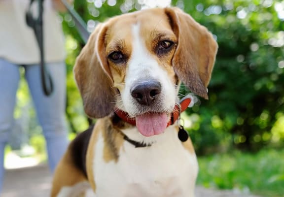 The Reef Apartments | Apartments in Wauwatosa, WI